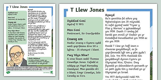 Ffeil Ffeithiau T Llew Jones (Hecho por educadores) - Twinkl