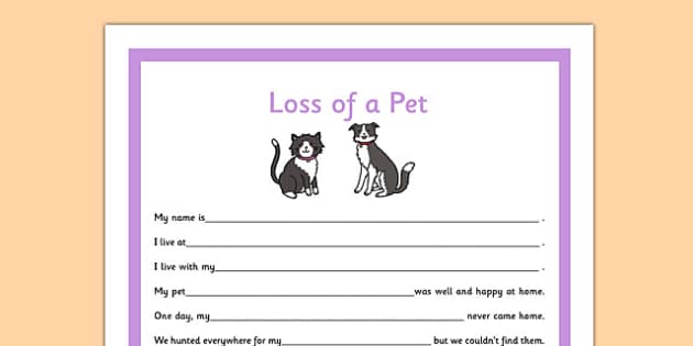 Social Situation Sheet Loss of a Pet Primary - Twinkl