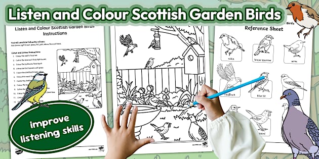 Listen and Colour Scottish Garden Birds Activity Sheet