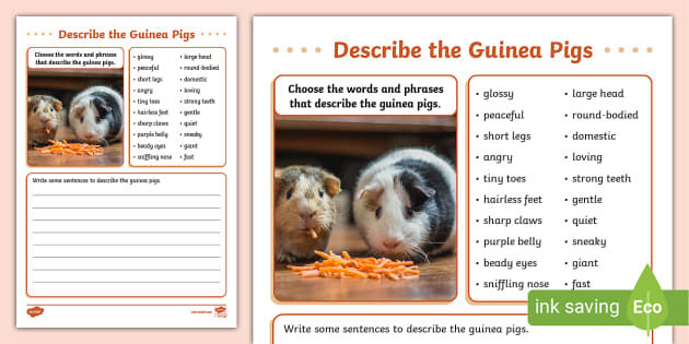 Describe the Guinea Pigs Writing Activity Sheet