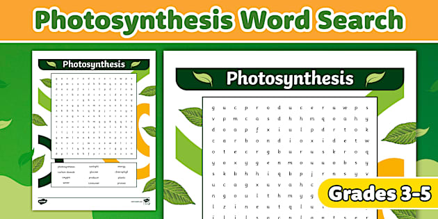 Photosynthesis Word Search for 3rd-5th Grade