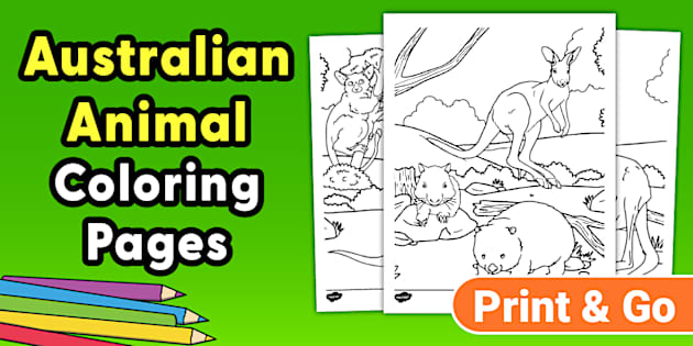 australian animal coloring sheet