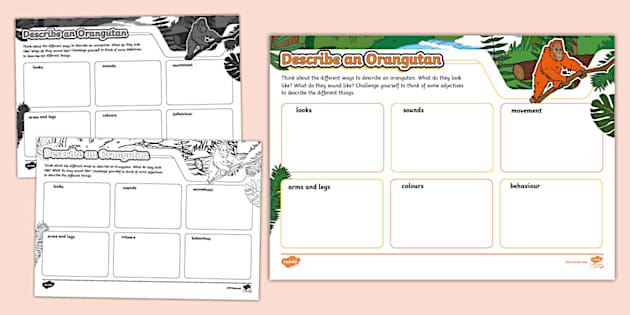 Orangutan Adjectives Worksheet - Twinkl