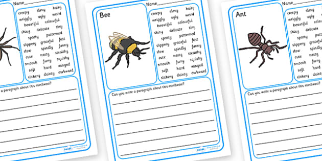 Minibeasts Description Writing Frames (teacher made)