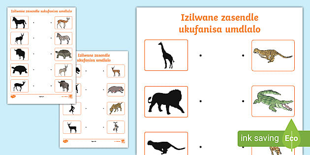Match the Wild Animal and its Shadow isiXhosa (Teacher-Made)