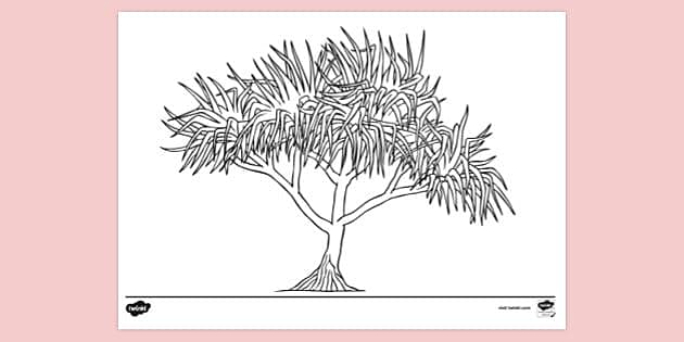FREE! - Pandanus Tree Colouring Sheet | Colouring Sheets