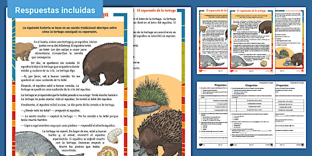 Comprensión lectora por niveles: El caparazón de la tortuga