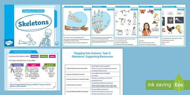 Step into Science: Y3: Autumn: Block 1: Skeletons: Steps 1 to 5