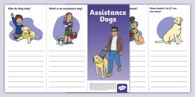 Assistance Dogs Leaflet Template (Teacher-Made) - Twinkl