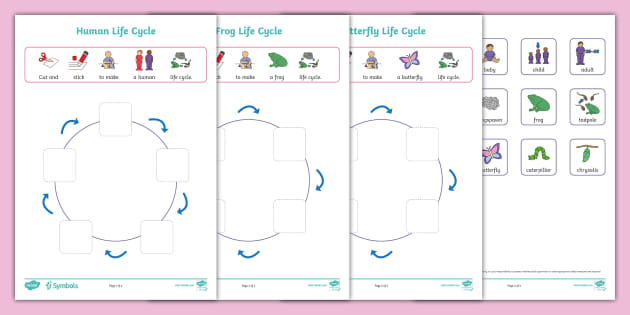Twinkl Symbols: Life Cycles Cut and Stick Activity (Lesson 2)