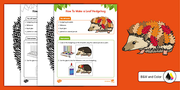 Hedgehog Activities and Ideas for Early Years - Twinkl