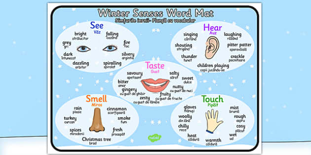 Winter Senses Word Mat Romanian Translation teacher Made Winter Senses Word Mat Romanian Translation teacher Made