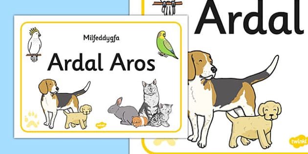 Veterinary Surgery Waiting Area Poster (Teacher-Made)
