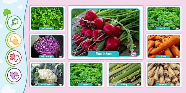 Food Rabbits Eat Display Photos (teacher made) - Twinkl