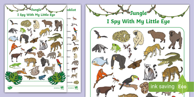 Jungle-Themed I Spy with My Little Eye Activity - Twinkl