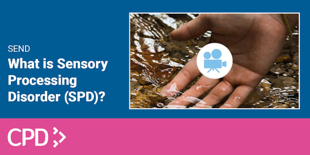 What is Sensory Processing? Inclusion CPD Video - Twinkl