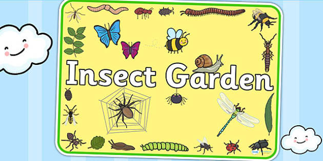 Insect Garden Sign (teacher made) - Twinkl
