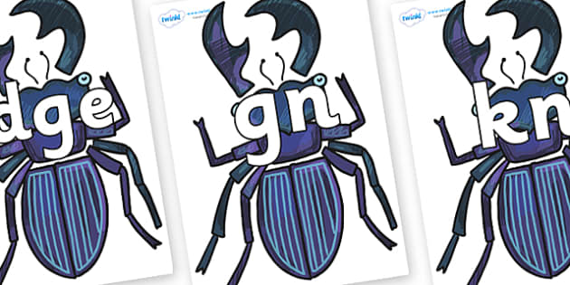 FREE! - Silent Letters on Stag Beetle to Support Teaching on The Bad ...