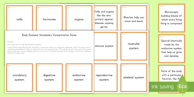 Body Systems Concentration Game (teacher made) - Twinkl