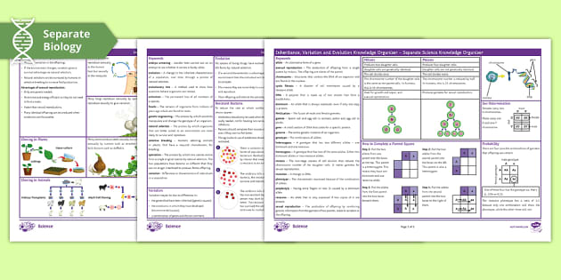 Inheritance Knowledge Organiser | AQA Biology | Beyond