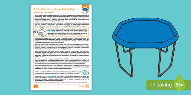 EYFS Ages 2-3 Large Activity Trays: All About Me - My Senses