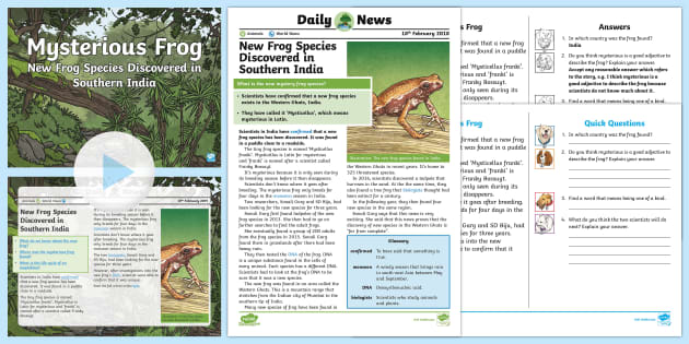 UKS2 Mysterious Frog Daily News Resource Pack (teacher made)