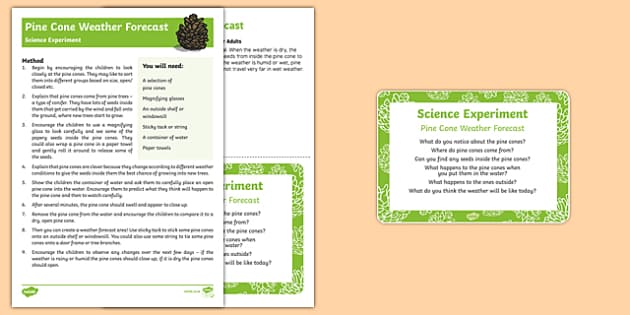 Kindergarten Pine Cone Weather Forecast Science Experiment and Prompt Card