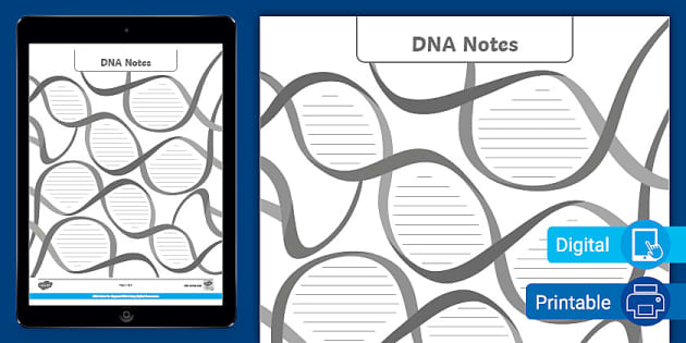 DNA Notes Doodle Organizer for 6th-8th Grade (teacher made)