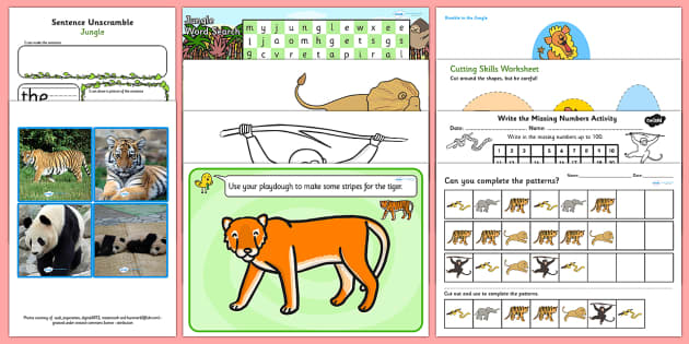 Top Ten Jungle Activity Pack (teacher made) - Twinkl