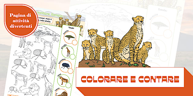 Colorare e contare: Savana - Twinkl Italia (Teacher-Made)