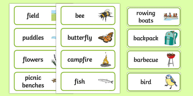 Outdoor-Themed Word Cards (teacher made) - Twinkl
