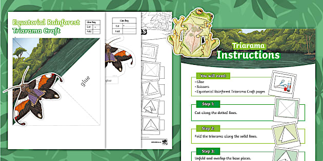 Equatorial Rainforest Triarama Craft - Twinkl
