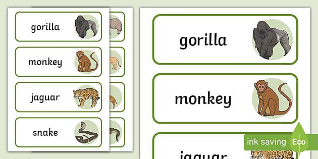 Jungle Journey Word Cards (creat de profesori) - Twinkl