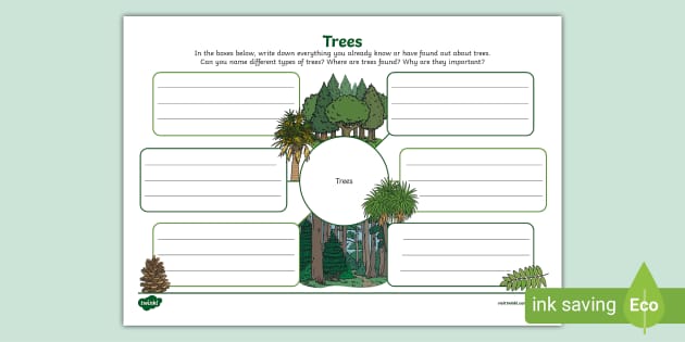 Trees Mind Map, tree (teacher made)