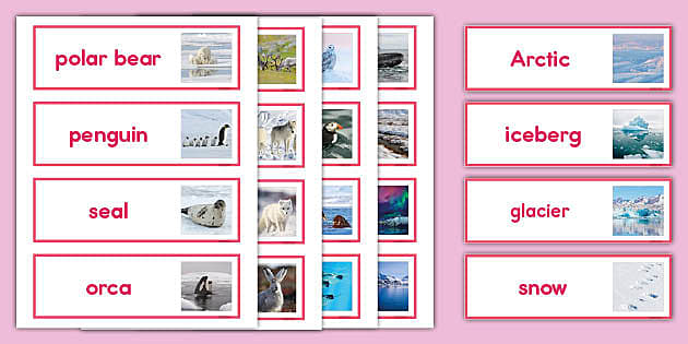 Arctic Habitat Photo Word Cards (Hecho por educadores)