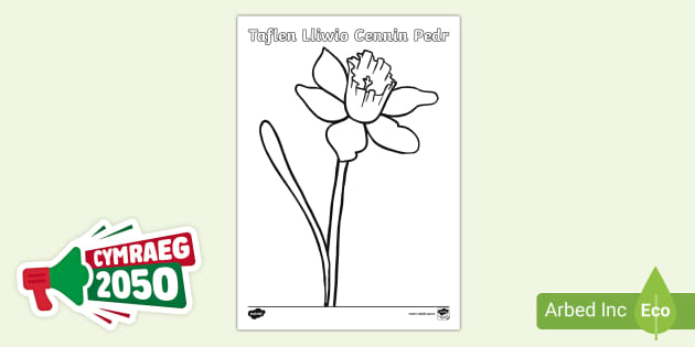 Welsh Colouring Pages | Twinkl Resources for teachers!
