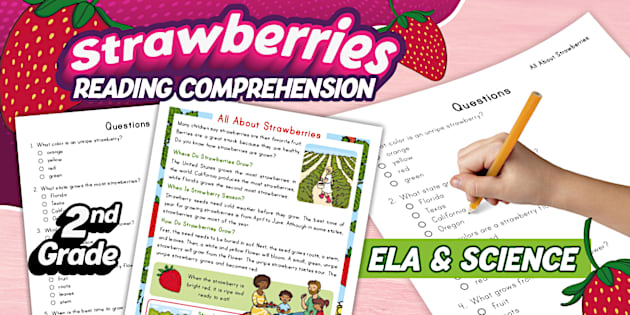 Second Grade All About Strawberries Reading Comprehension Worksheet