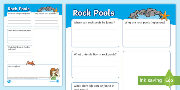Rock Pool Fact File Template,rock pool writing - Twinkl