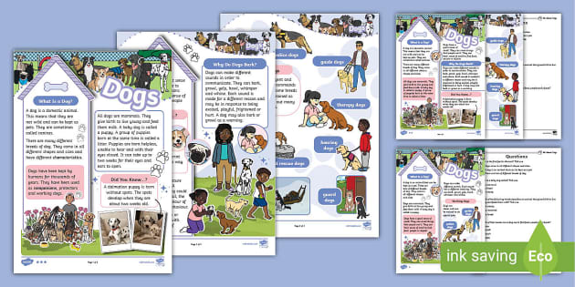 KS1 All About Dogs Differentiated Reading Comprehension Activity