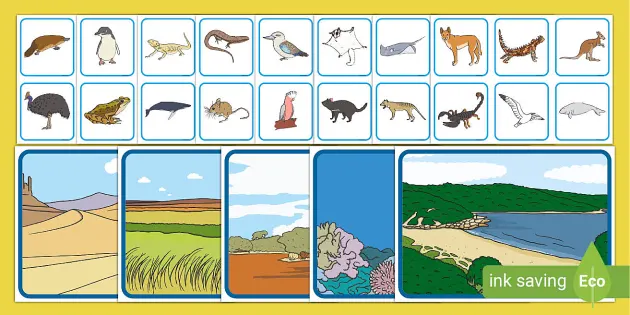 UK Animals Habitats Display Posters (Teacher-Made) Twinkl, 42% OFF