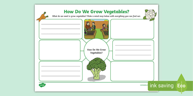 How Do We Grow Vegetables? Mind Map (teacher made)