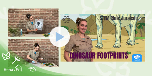 FREE! - Investigating Dinosaur Teeth (teacher made) - Twinkl