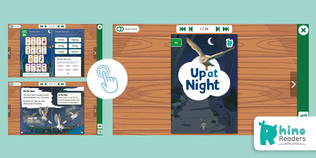 Level 4c Decodable Readers: Up at Night (teacher made)