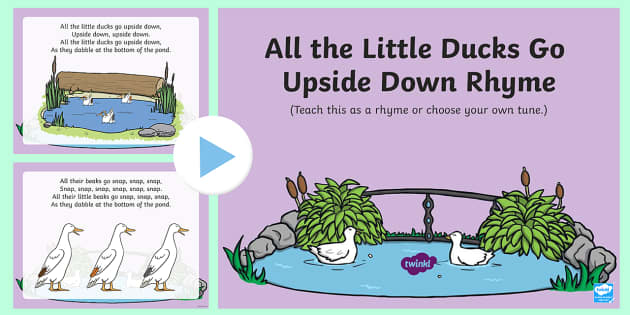 All The Ducks Go Upside Down Rhyme Song PowerPoint Twinkl