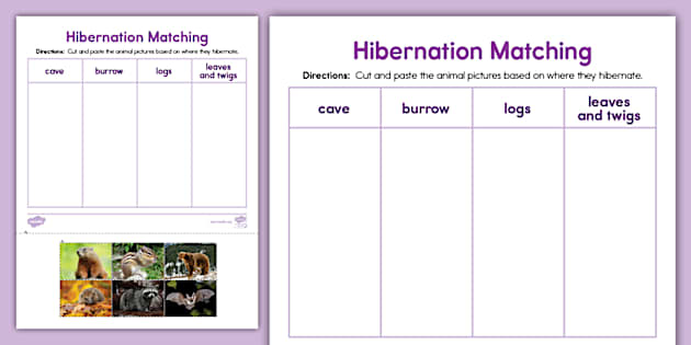 Hibernation Matching Worksheet for K-2nd Grade - Twinkl