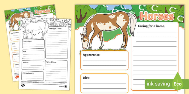Horses Fact File Template (teacher made) - Twinkl