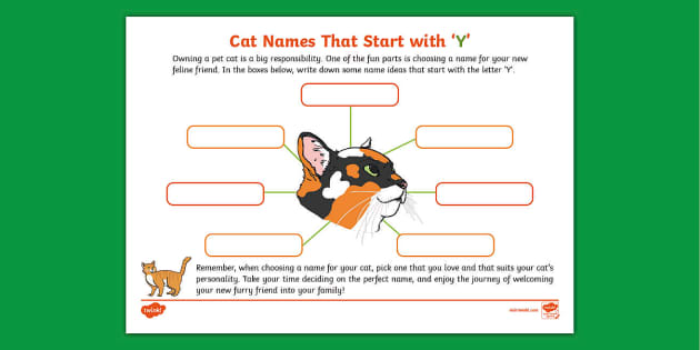 Cat Names That Start with 'Y' Activity (teacher made)