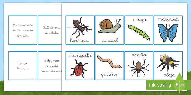 Las Flashcards De La Oruga Muy Hambrienta