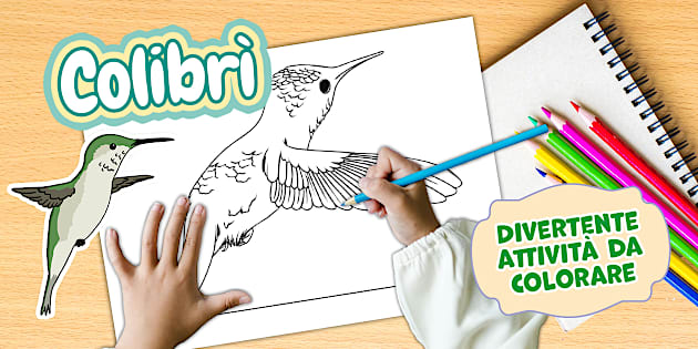 Disegni Da Colorare Colibrì