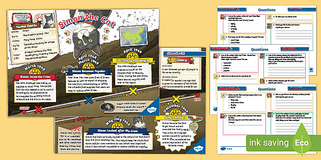 LKS2 Digging for Details: Animal Superheroes: Simon the Cat